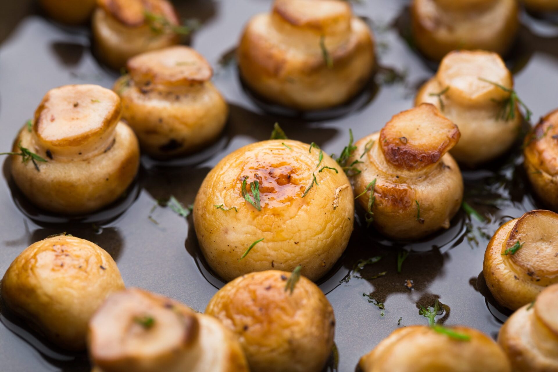 Are Mushrooms the Next Superfood? - Wooshi